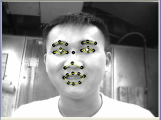 Real-time facial Feature tracking demo (long version)